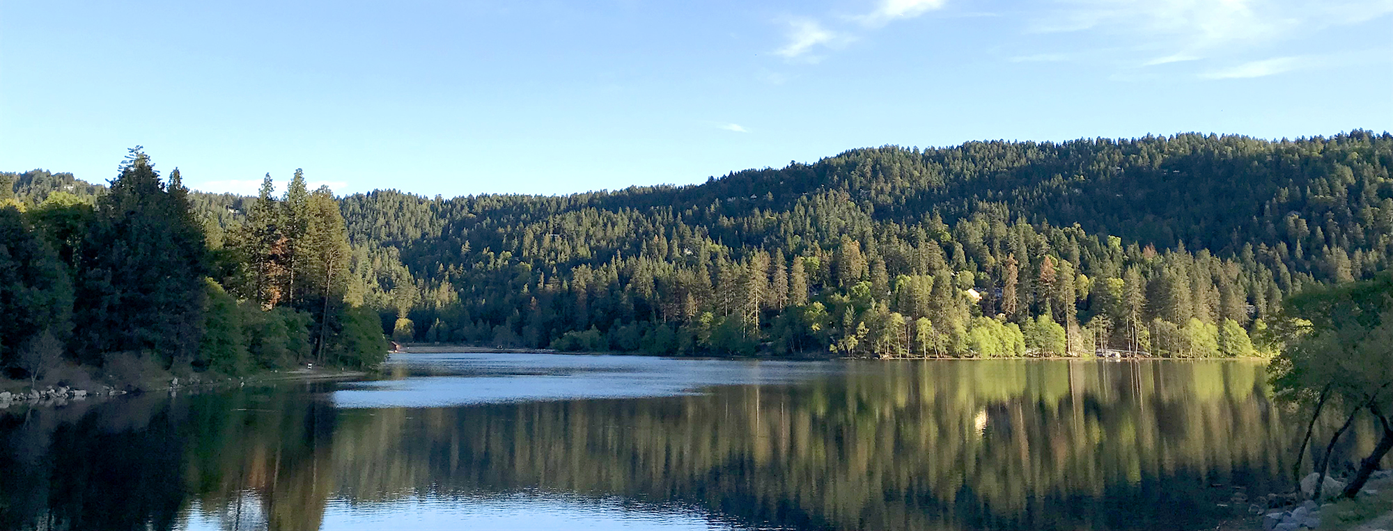 Springtime Crestline Clean Up 🦋🌲🍄🌸🌼 - Crestline Chamber of Commerce